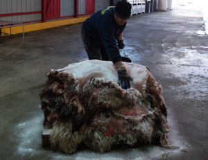 Kožar DOO | Prerada i prodaja koža